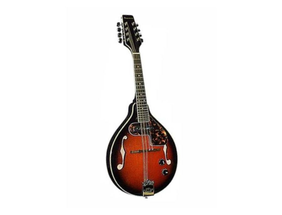 Samick Mandolin: Compare Prices, Read Reviews & Buy | WhatGear™